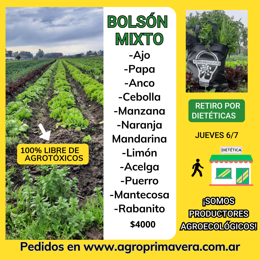 BOLSÓN AGROECOLÓGICO – Agroprimavera
