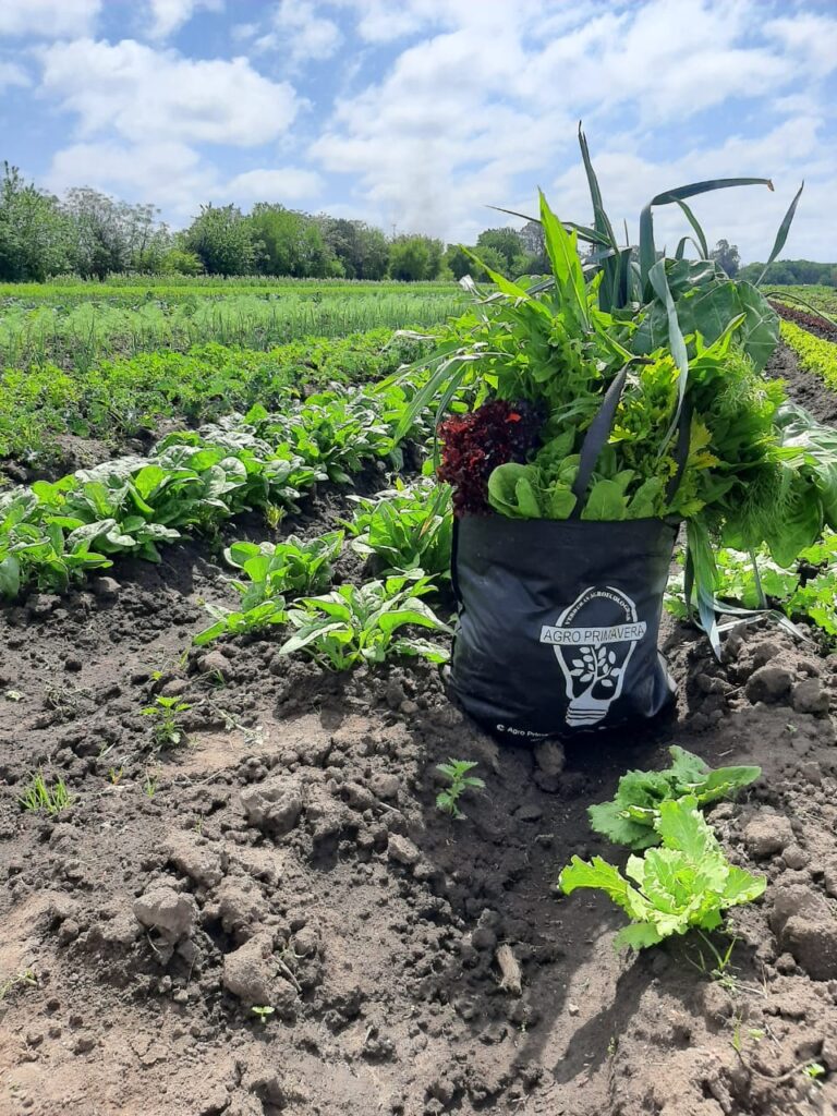 BOLSÓN MIXTO FAMILIAR – Agroprimavera