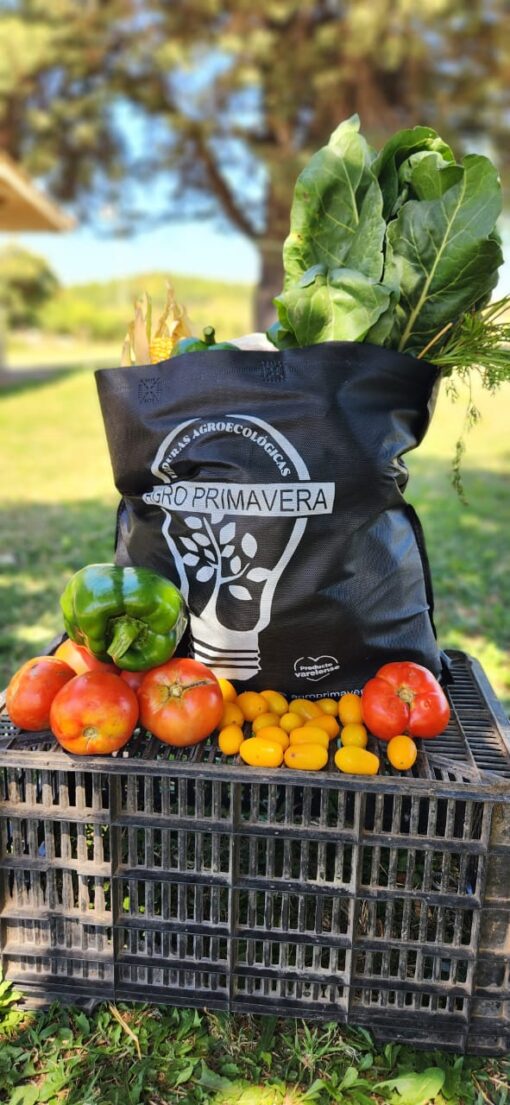 BOLSÓN MIXTO PEQUEÑO – Agroprimavera